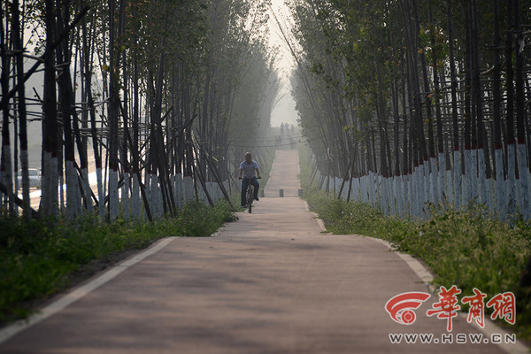 长安绿道等你来体验骑行快感 就是这个Feel倍儿爽！|自行车道|长安_凤凰资讯